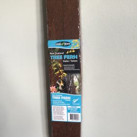 New Zealand Tree Fern Panels | Fernwood | Buzzard Reptile