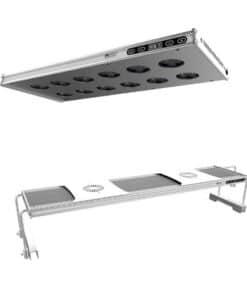 Buzzard Reptile - Reptile Safe Plants - Live Food - Reptile Equipment