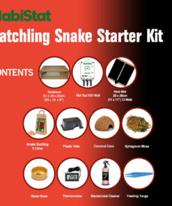 Starter Kits Archives - Buzzard Reptile